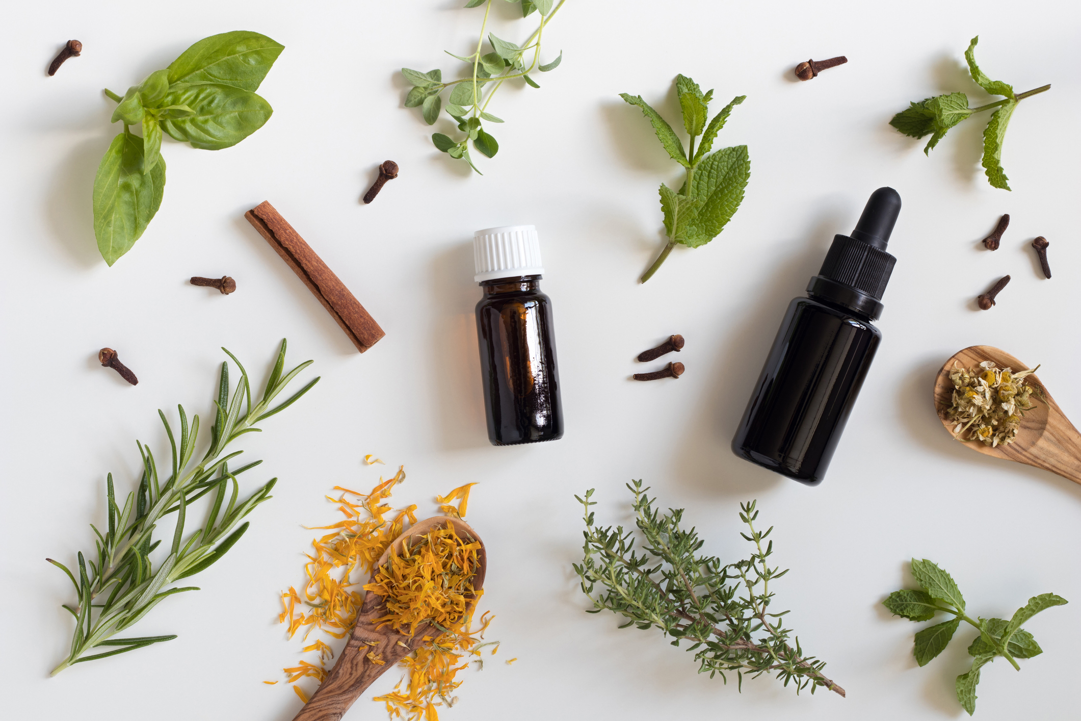 Single Tinctures List – Bastyr Natural Medicine Shop